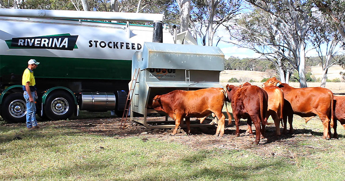 On-Farm Stock Feed Delivery | Riverina