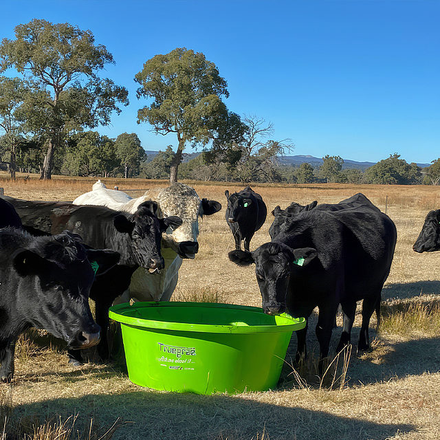 Directions for Use of Liquid Pasture Supplements